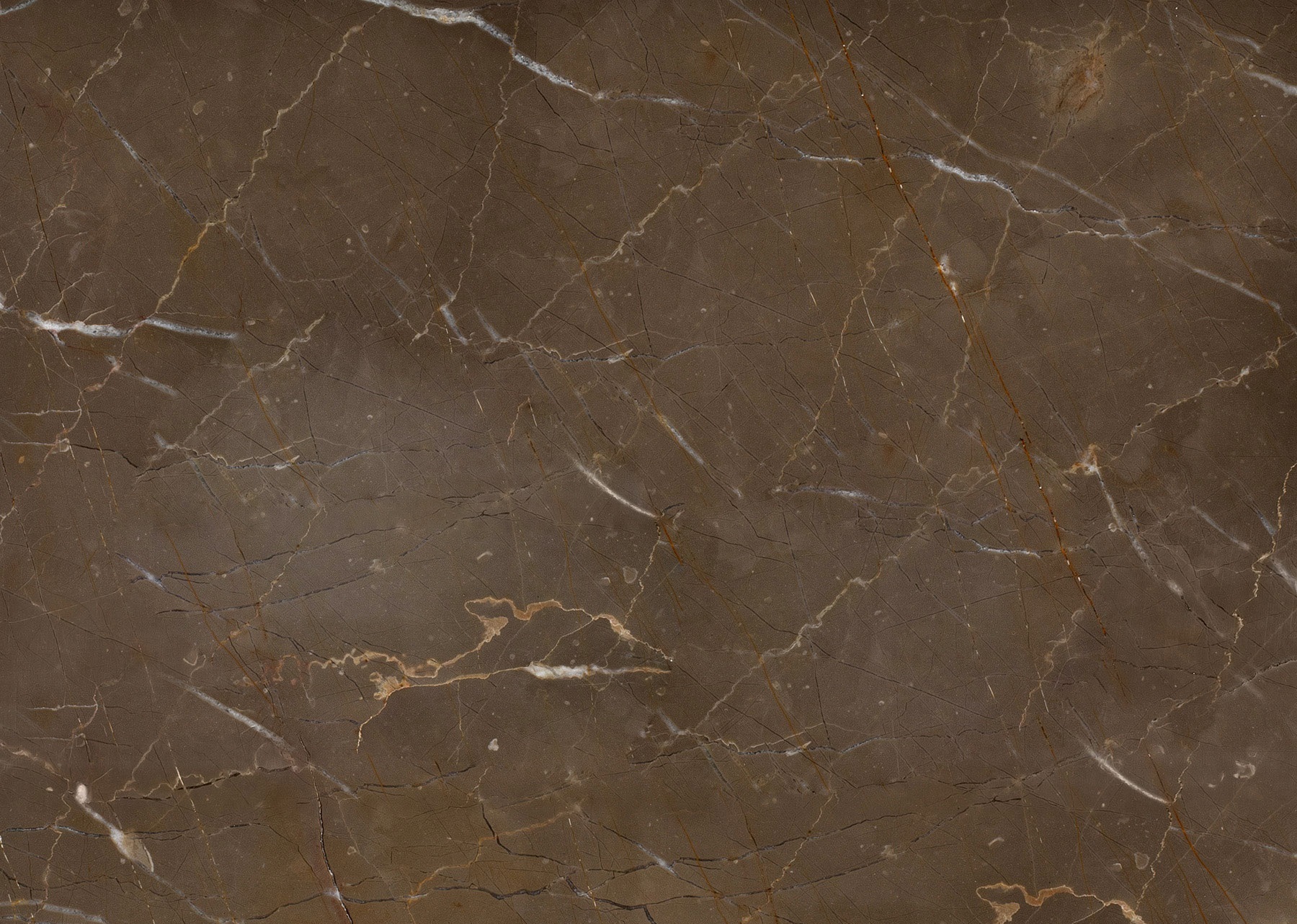 OLİVE MARRON – Akçamermer